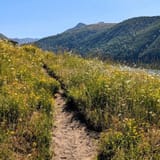 Coldwater Lake via Lakes Trail, Washington - 889 Reviews, Map | AllTrails