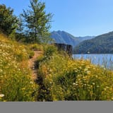 Coldwater Lake via Lakes Trail, Washington - 889 Reviews, Map | AllTrails