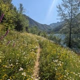 Coldwater Lake via Lakes Trail, Washington - 889 Reviews, Map | AllTrails