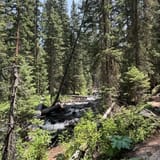 Lower Cataract Loop Trail, Colorado - 1,131 Reviews, Map | AllTrails