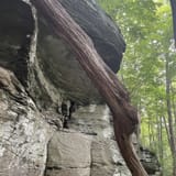 Tanbark Loop, New York - 749 Reviews, Map | AllTrails
