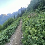 Haystack Butte via Highline Trail, Montana - 2,117 Reviews, Map | AllTrails