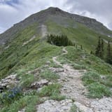 Ballard Mountain Trail, Colorado - 349 Reviews, Map | AllTrails