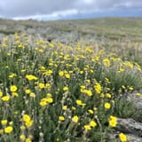 Mount Flora Trail, Colorado - 4,335 Reviews, Map | AllTrails