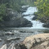 Cedar Falls Trail, Washington - 416 Reviews, Map | AllTrails