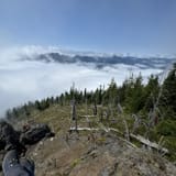 Mount Rose Trail, Washington - 1,393 Reviews, Map | AllTrails