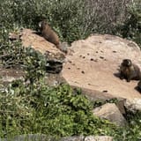 Venable-Comanche Trail, Colorado - 475 Reviews, Map | AllTrails