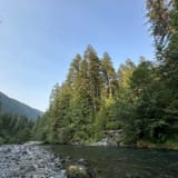 Dosewallips River Road Trail, Washington - 629 Reviews, Map | AllTrails