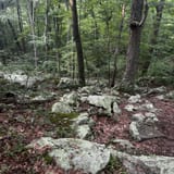 Zoar Trail, Connecticut - 2,361 Reviews, Map | AllTrails