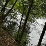 Zoar Trail, Connecticut - 2,339 Reviews, Map | AllTrails