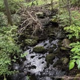 Zoar Trail, Connecticut - 2,339 Reviews, Map | AllTrails