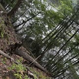 Zoar Trail, Connecticut - 2,339 Reviews, Map | AllTrails