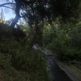 Murphy Ranch Trail, California - 3,952 Reviews, Map | AllTrails