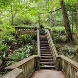 Dash Point Trail, Washington - 1,366 Reviews, Map | AllTrails