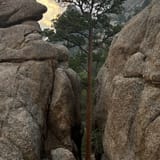 Gem Lake Trail and Lumpy Ridge Loop, Colorado - 2,183 Reviews, Map ...