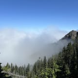 Hurricane Ridge to Heart of the Hills via Heather Park Trail ...