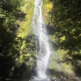 Madison Falls Trail, Washington - 1,914 Reviews, Map | AllTrails