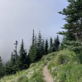 Loowit Loop, Washington - 437 Reviews, Map | AllTrails