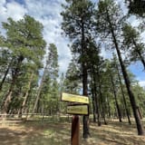 Mars Hill Trail, Arizona - 1,222 Reviews, Map | AllTrails