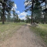 Disappointment Falls via Lady Moon Trail, Colorado - 876 Reviews, Map ...