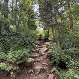 Seven Bridges Trail, Colorado - 8,187 Reviews, Map | AllTrails