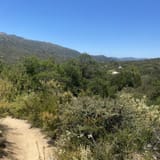 Tenaja Canyon via Tenaja Trail, California - 181 Reviews, Map | AllTrails