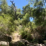 Tenaja Canyon via Tenaja Trail, California - 176 Reviews, Map | AllTrails