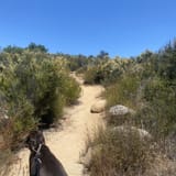 Tenaja Canyon via Tenaja Trail, California - 181 Reviews, Map | AllTrails