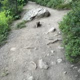 Swiftcurrent Nature Trail, Montana - 922 Reviews, Map | AllTrails