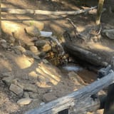 Barr Camp via Barr Trail, Colorado - 1,427 Reviews, Map | AllTrails