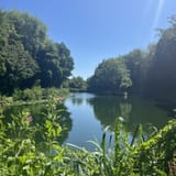 Wepre Park Circular, Flintshire, Wales - 493 Reviews, Map | AllTrails