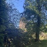 Wepre Park Circular, Flintshire, Wales - 493 Reviews, Map | AllTrails