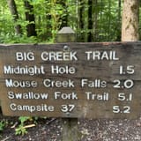 Mouse Creek Falls via Big Creek Trail, Tennessee - 3,041 Reviews, Map ...