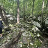 Mouse Creek Falls via Big Creek Trail, Tennessee - 2,949 Reviews, Map ...