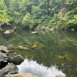 Pine Log Creek Trail, Georgia - 2,623 Reviews, Map | AllTrails