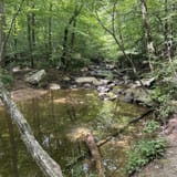 Pine Log Creek Trail, Georgia - 2,623 Reviews, Map | AllTrails