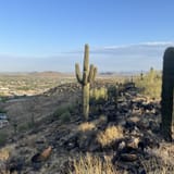 Cholla Loop, Arizona - 4,480 Reviews, Map | AllTrails