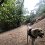 Memory Grove Trail, Utah - 1,368 Reviews, Map | AllTrails