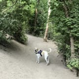 Memory Grove Trail, Utah - 1,368 Reviews, Map | AllTrails