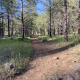 Sandys Canyon Trail, Arizona - 1,222 Reviews, Map | AllTrails