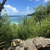 Reef Bay Trail, Saint John, US Virgin Islands - 1,096 Reviews, Map ...