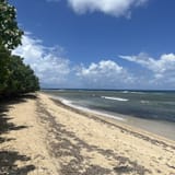 Reef Bay Trail, Saint John, US Virgin Islands - 1,096 Reviews, Map ...