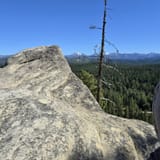 Cheese Rock Trail, Washington - 454 Reviews, Map | AllTrails