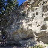 Cheese Rock Trail, Washington - 441 Reviews, Map | AllTrails