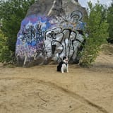 Heads Pond, New Hampshire - 896 Reviews, Map | AllTrails