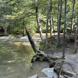 Cascade Brook Trail to Lonesome Lake, New Hampshire - 803 Reviews, Map ...