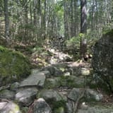 Cascade Brook Trail to Lonesome Lake, New Hampshire - 808 Reviews, Map ...