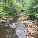 Cedar Falls Trail, Arkansas - 2,180 Reviews, Map | AllTrails