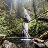 Murhut Falls Trail, Washington - 989 Reviews, Map | AllTrails