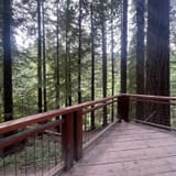 Washington Park Loop, Oregon - 1,869 Reviews, Map | AllTrails